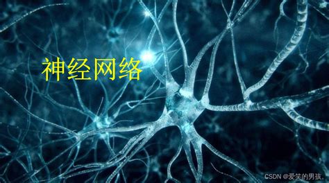 【机器学习】十大算法之一 “神经网络” 阿里云开发者社区