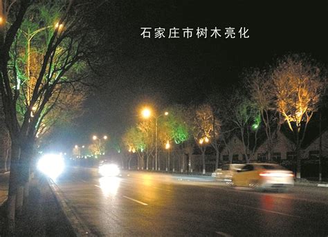 郓城县火树银花 树木亮化大旗灯饰