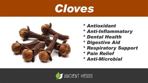 Cloves Benefits Uses Dosage And Side Effects
