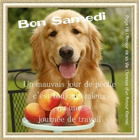 Samedi Images Photos Et Illustrations Gratuites Pour Facebook Page