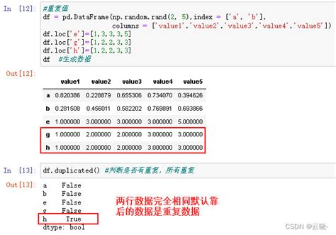 Python学习——缺失值、重复值处理及替换dffillnavalue Csdn博客