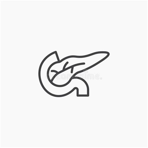 Healthy Pancreas Concept Vector Illustration Stock Illustrations 867