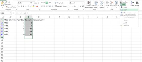 Paste Into Visible Cells Only Basic Excel Tutorial