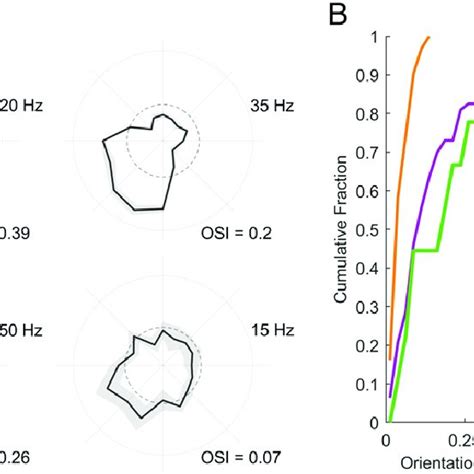 Orientation Tuning In Cn Neurons A Response Of Four Example Cn Download Scientific Diagram