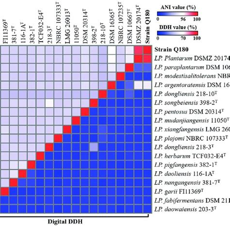 Heat Maps Showing Pair Wise Average Nucleotide Identity Ani And