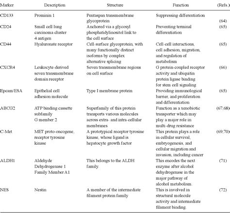 Table I From Role Of Rna Methylation In The Regulation Of Pancreatic Cancer Stem Cells Review