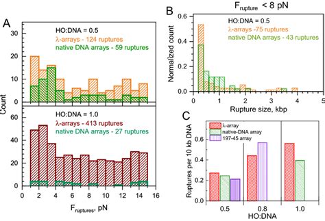 Analysis Of The Clustercluster Ruptures In The Arrays Native Dna