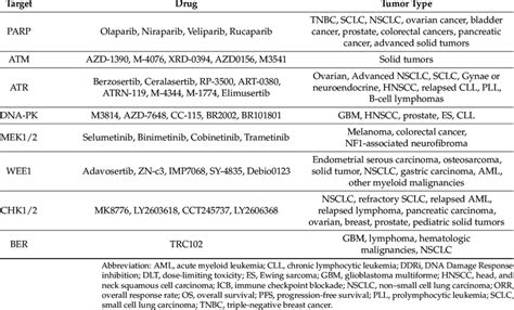 Ddr Inhibitors In Clinical Trials Download Scientific Diagram