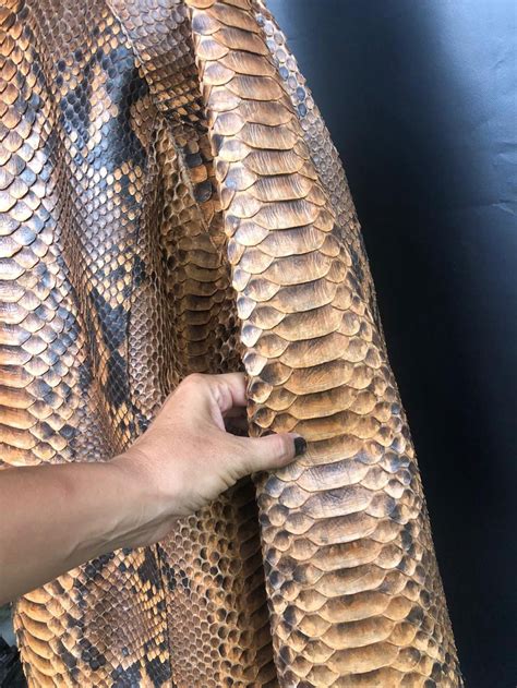 Womans Dragon Python Coat Snakeskin Coat Python Leather Etsy
