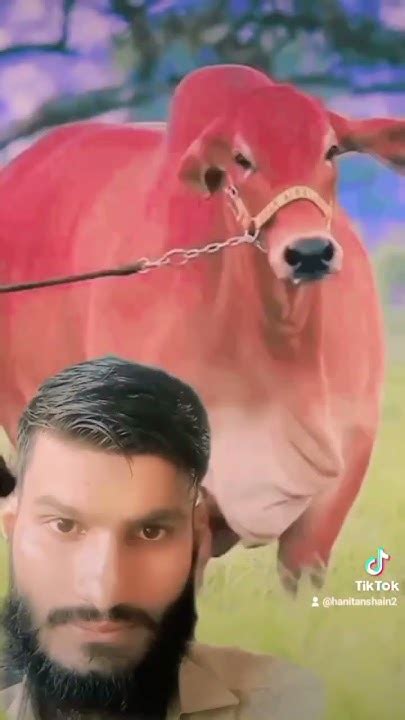Tenu Eid Mubarak Yaar Mere Youtube
