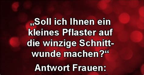 Saurier Witze Und Sprüche Debestede