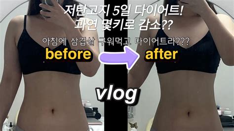 다이어트vlog 아침에 삼겹살 먹는게 다이어트라고 저탄고지 핑계로 기름지게 먹은 다이어트 후기ㅣ저탄수화물ㅣ저탄고지ㅣ직잘인브이로그ㅣ운동하는여자ㅣ5일후기ㅣ황제다이어트ㅣ