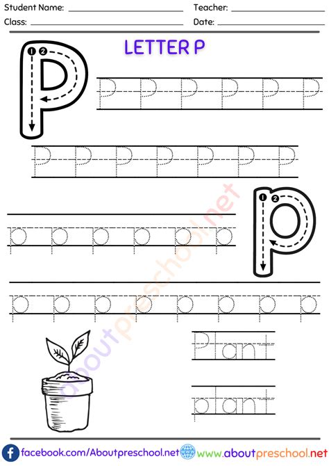 Kindergarten Letter Trace P About Preschool