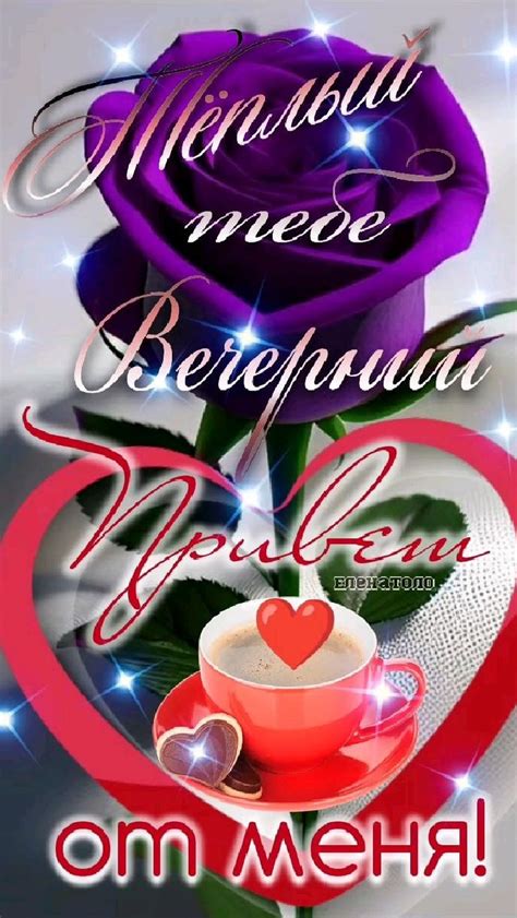 Добрый вечер Милые открытки Милые котики Счастливые картинки