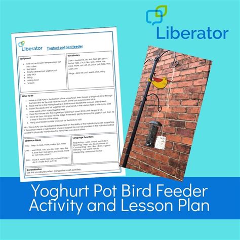 January Lesson Plans Liberator Ltd