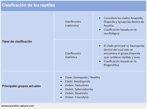 Clasificación de los reptiles sistemática tradicional y cladística