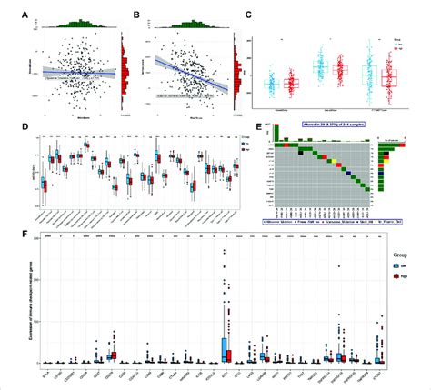Differences In Immune Related Outcomes Between The High Risk And