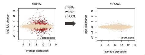 Rnai Explained