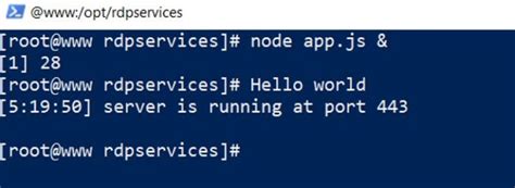 Introduction To The Real Time Optimized Simulator Docker Image Devportal
