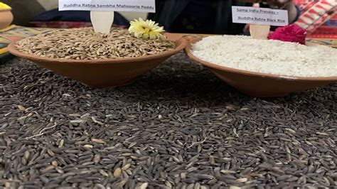 Non Basmati Rice Export Ban Impact And Why The Nris In Us Canada Are
