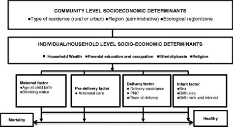 Conceptual Framework Of Determinants Influencing Infant Mortality Download Scientific Diagram