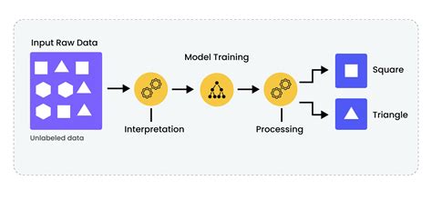 Understanding Semi Supervised Learning Bridging Labeled And Unlabeled Data