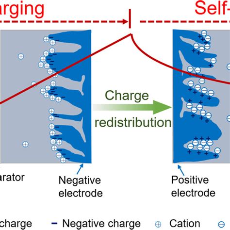 Schematic Illustration Of The Charge Loss Caused By Faradic Reaction Download Scientific