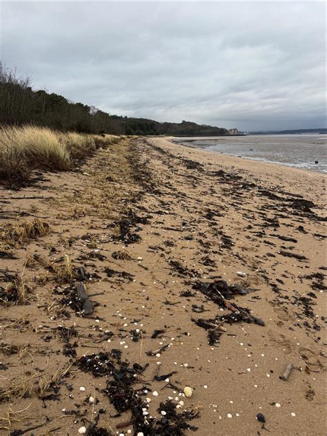 Chloe Gardner Art And Cards Chloe Gardner Art And Cards