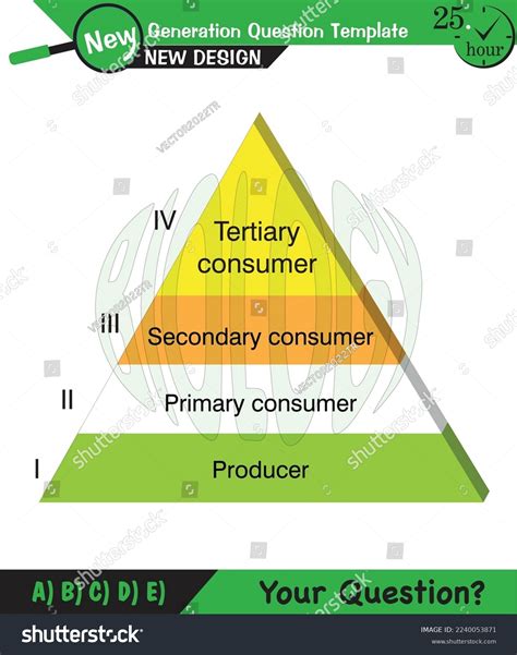 Physics Vector Illustration Food Chain Energy Stock Vector Royalty