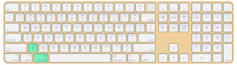 How To Undo On Mac Redo On Mac 2022 How To Undo On Mac Redo On Mac 2022