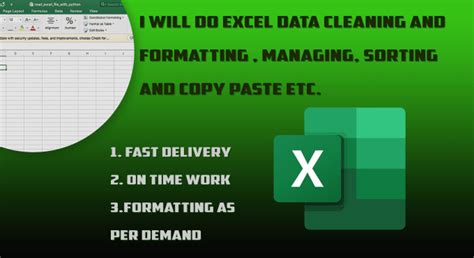 do excel data cleaning excel entry data cleanup by sparky 33 fiverr