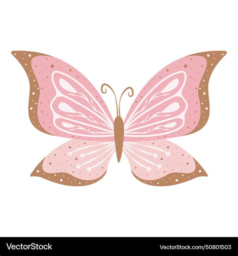 Cute Butterfly Royalty Free Vector Image Vectorstock
