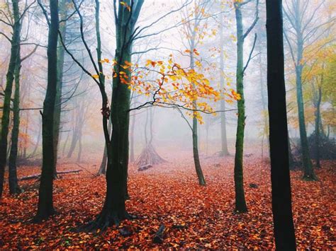 How Daniel Casson Takes Great Iphone Landscapes Photos