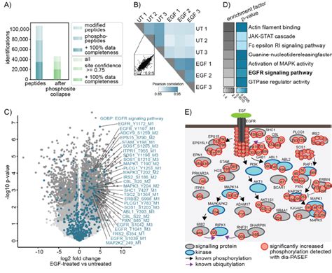 The Dia Pasef Workflow Allows The Robust Detection Of Characteristic