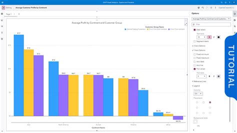 creating a multi page report in sas visual analytics 2023 06 and later