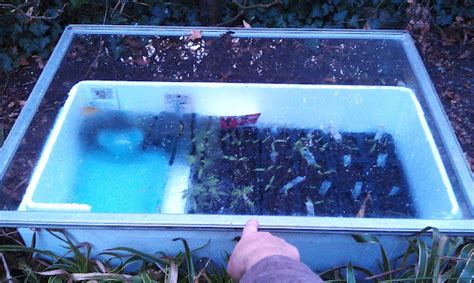 Nailsworth Gardener Home Made Propagator