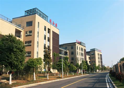 首页 国科共青城实验学校