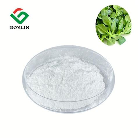 China Andrographis Paniculata Leaf Extract Manufacturers Suppliers