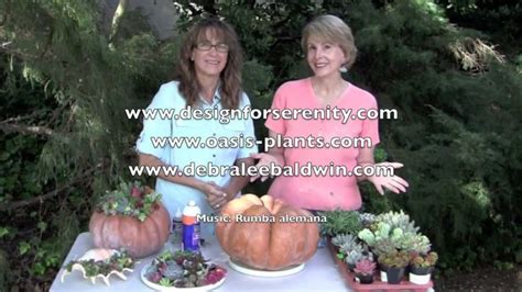 How To Make A Succulent Topped Pumpkin Succulent Topped Pumpkins