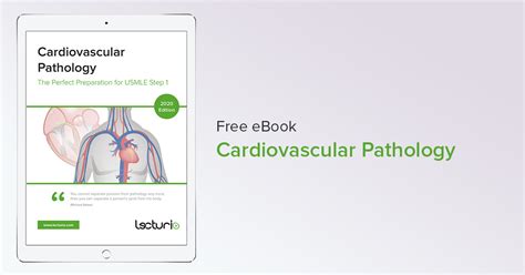 Cardiovascular Pathology Free Ebook