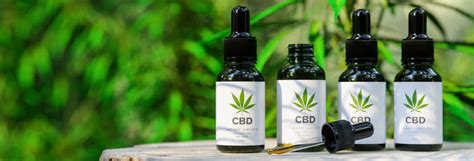 Guide Pour Les Nuls Sur Les Effets Du CBD