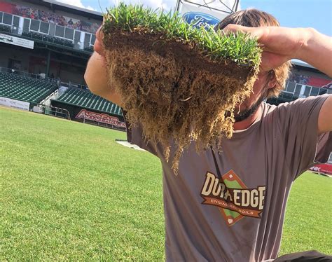 Athletic Field Portfolio Sports Turf Specialties Inc