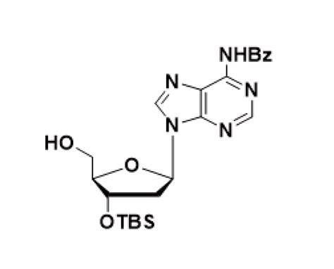 T7体外转录试剂盒agcu江苏申基生物科技有限公司