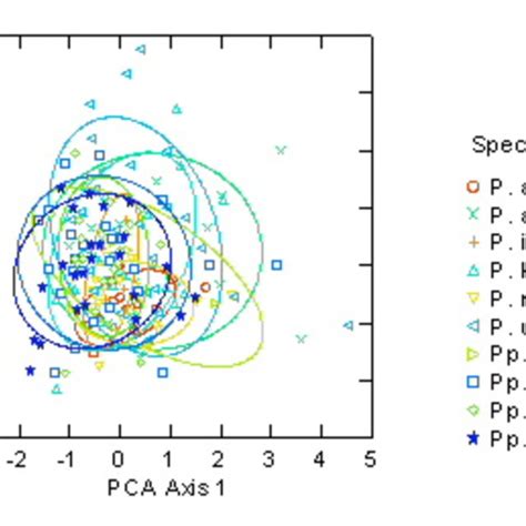 Graph Of Pca Axes 1 And 2 By Species Download Scientific Diagram