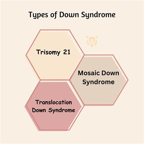 Down Syndrome Types Signs And Support For Families