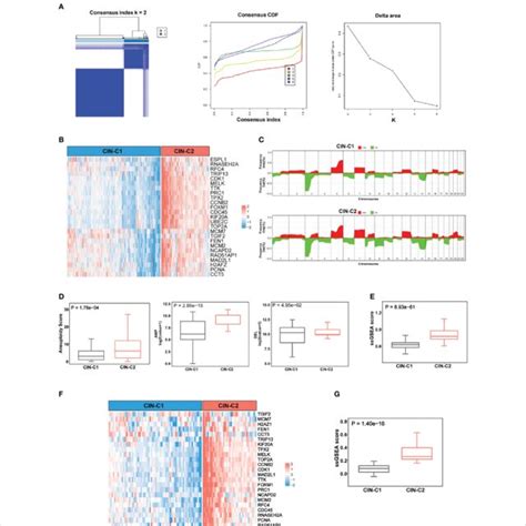 Cin25 Signature Based Classification Of Ccrccs A Consensus