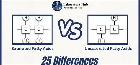 Saturated Vs Unsaturated Fatty Acids 25 Differences Laboratory Hub