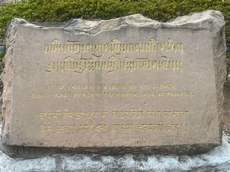 Prince Jindal On Linkedin 🖊️📝 ️world Refugee Day 20 June📖📋📓 🚵🚵🚵🌾