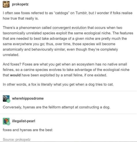 Cat Operating System Running On Dog Hardware Rtumblr