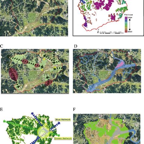 Ecological Network Analysis And Conservation Strategy For Download